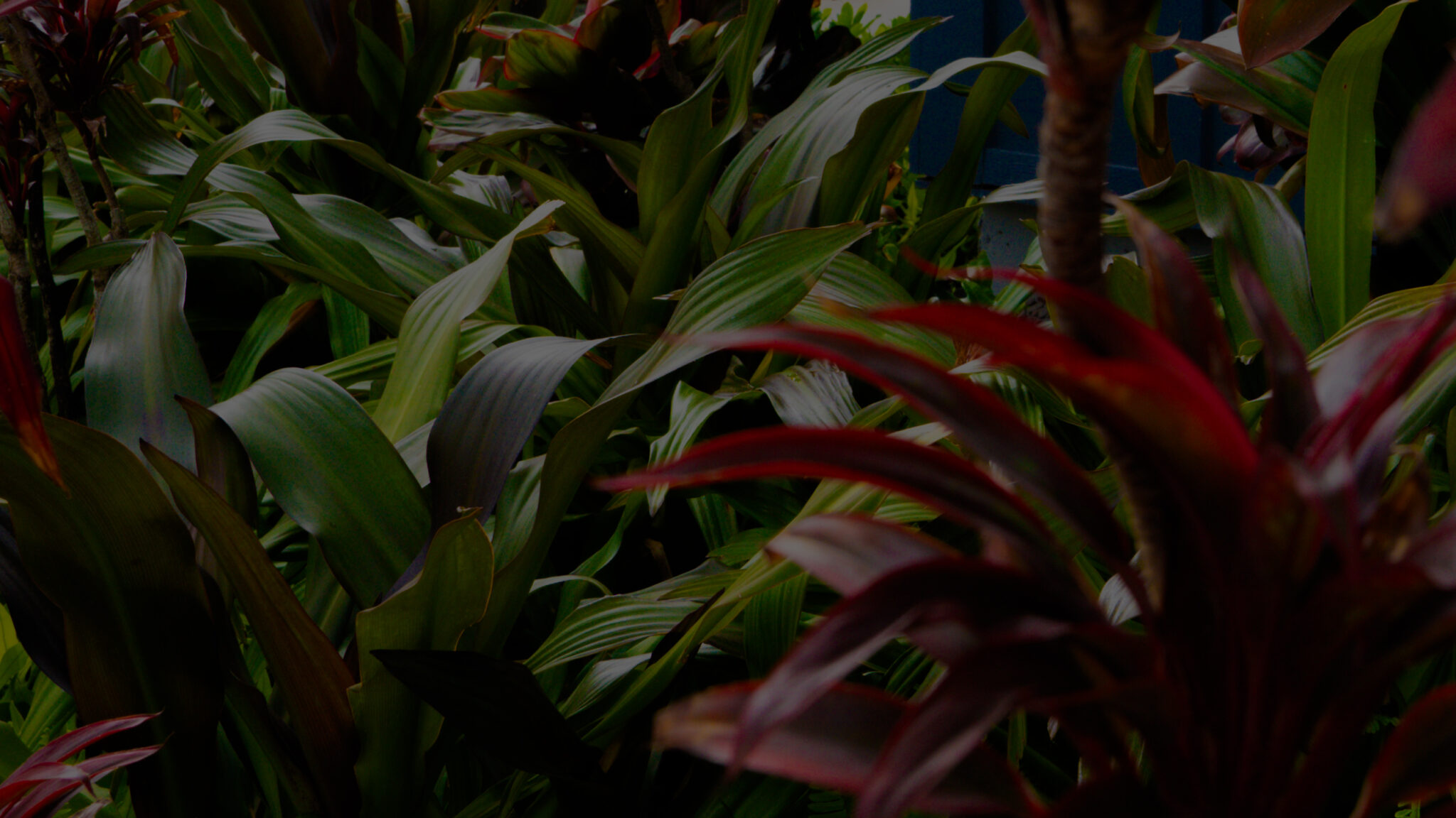 Meet the Team | PBR HAWAII & ASSOCIATES, INC.